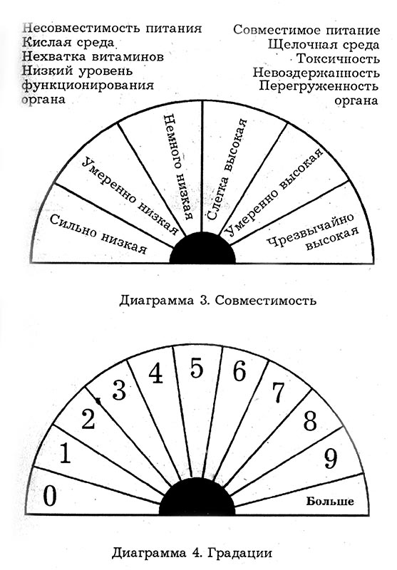 Пучко Многомерная Медицина Новые Диаграммы И Символы Полный Атлас ...